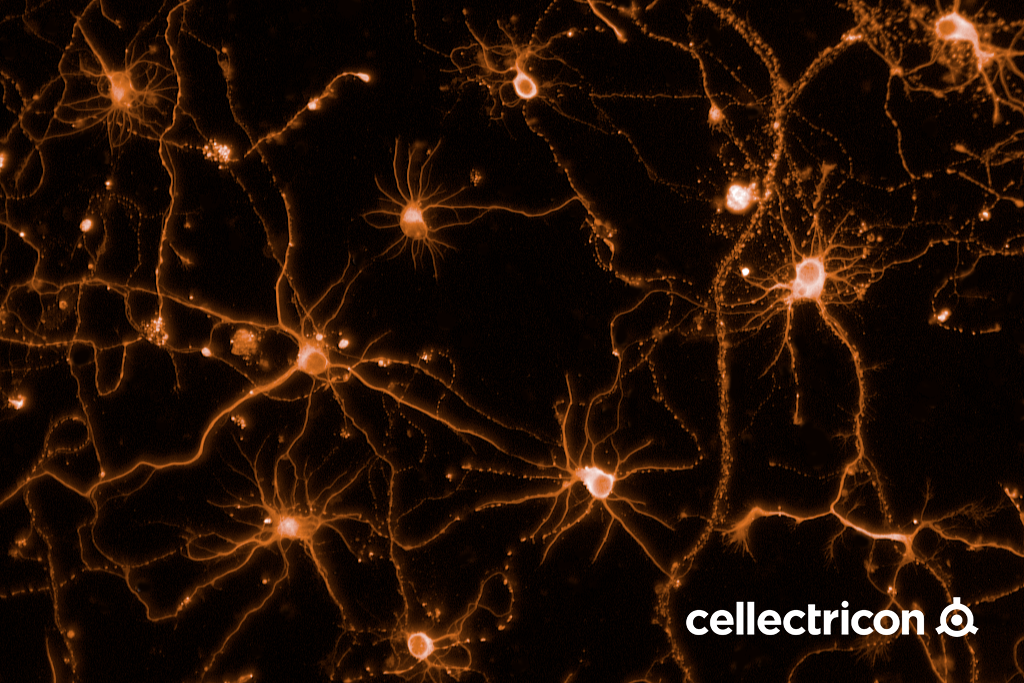 Cellectricon expands neuroscience contract research portfolio with new ...
